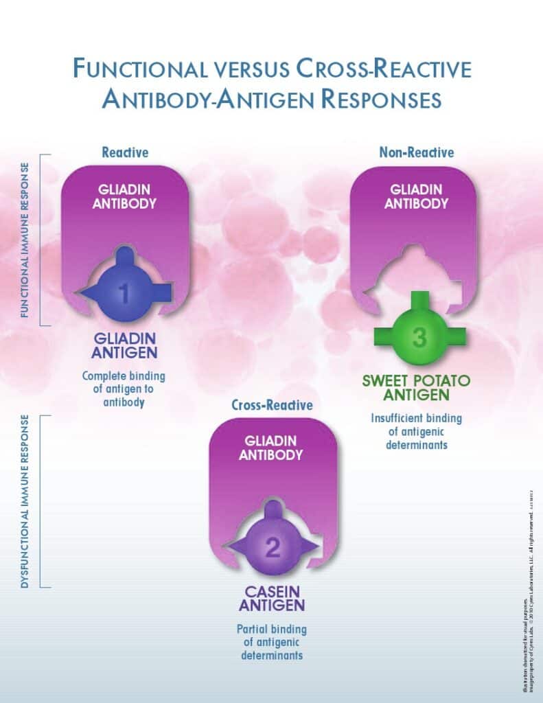 Cyrex Array #2-#5 - Arkansas Nutrition And Natural Healing | Dr. Roger ...