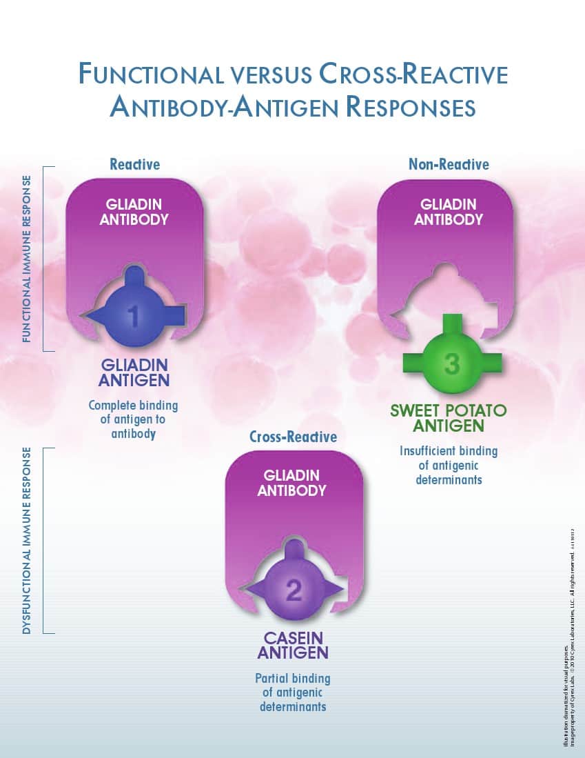 Cyrex Array #2-#5 - Arkansas Nutrition And Natural Healing | Dr. Roger ...