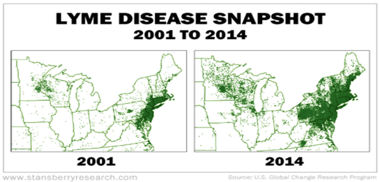 Lyme Disease - The Great Masquerader - Arkansas Nutrition And Natural ...